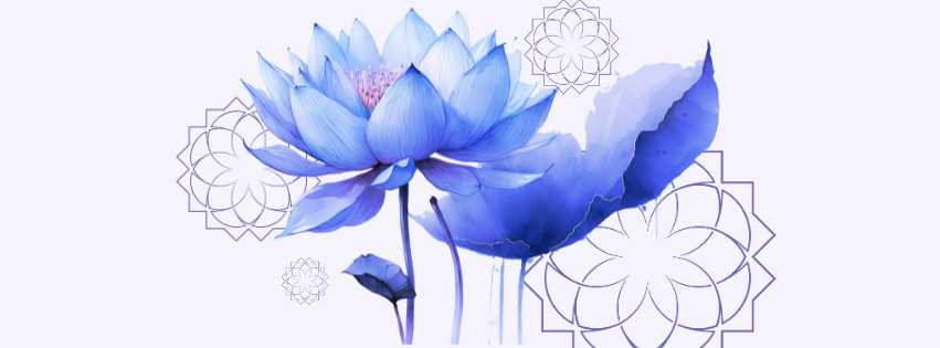 Blue Lotus Wisdom - what you need to know 𓆸 – Blue Lotus Effect